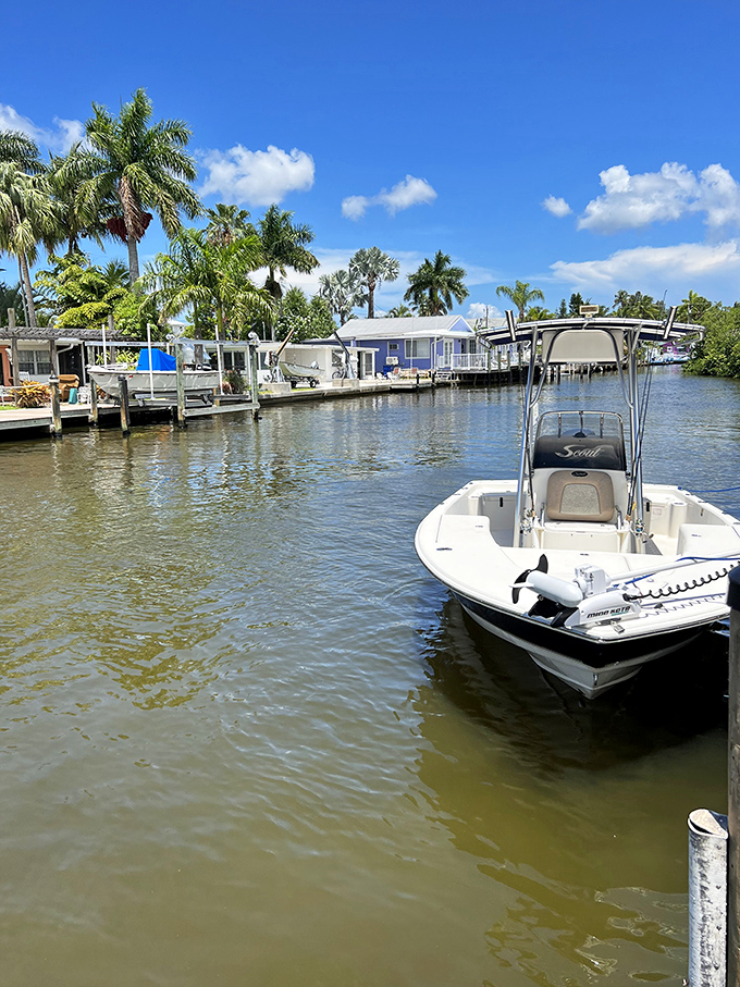 Where boats become neighbors and palm trees provide the shade. Waterfront living in Matlacha isn't just a lifestyle, it's artwork.