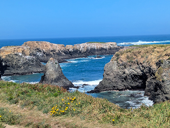 Nature's drama unfolds at Mendocino Headlands, where wildflowers frame the view of crashing waves against ancient rock formations.