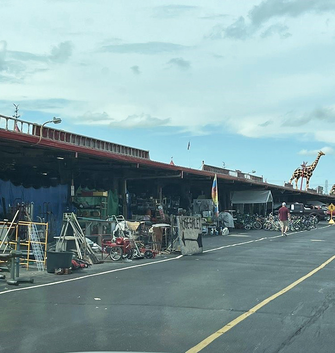 Where else can you find lawn mowers, bicycles, and who-knows-what under the watchful gaze of a fiberglass giraffe? Only at Traders World.
