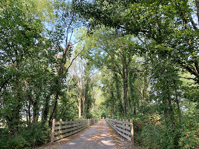 Nature's air conditioning comes free of charge on the Monon Trail, where towering trees create a cathedral-like canopy for walkers, joggers, and daydreamers alike.