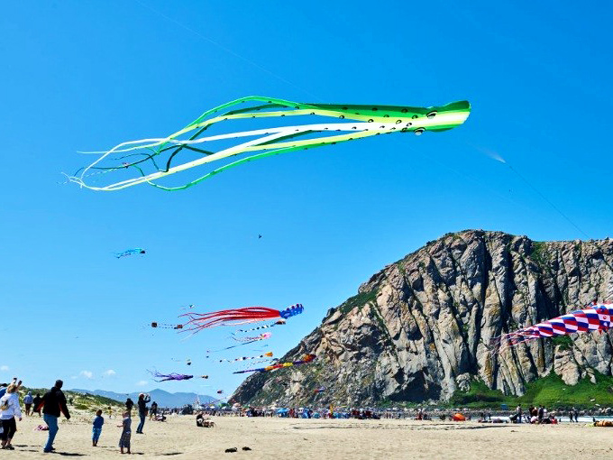 Even the kites seem to slow down here, dancing lazily against Morro Rock's ancient backdrop.