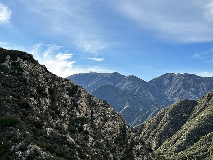 The San Gabriel Mountains create a dramatic backdrop that makes you forget Los Angeles is just around the corner.