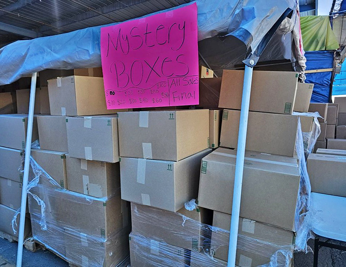 Mystery boxes: the swap meet equivalent of a blind date—either a delightful surprise or a valuable lesson in managing expectations.