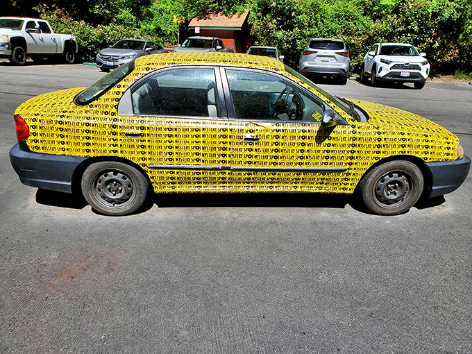 The ultimate California status symbol isn't a Tesla – it's plastering your car with these iconic yellow Mystery Spot bumper stickers.