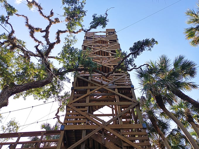 This wooden observation tower isn't just a climb&mdash;it's a time machine to when Florida was wild and Instagram filters weren't necessary.