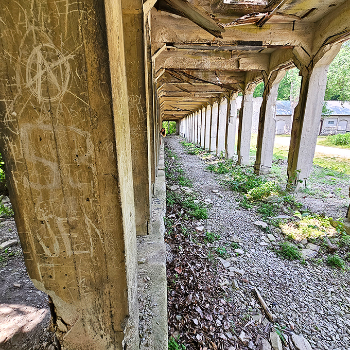 Industrial archaeology meets natural beauty in these weathered limestone ruins that whisper stories of busier times.