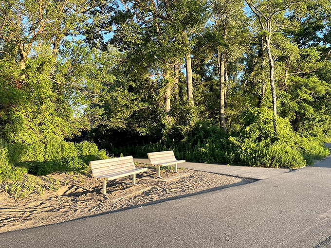 Two benches offer front-row seats to nature's daily show, where contemplation meets Lake Erie's endless beauty.