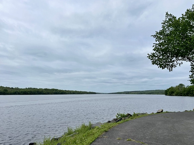 Moody skies meet tranquil waters at Nockamixon's shoreline, where even on cloudy days, the landscape delivers drama worthy of a PBS nature special.