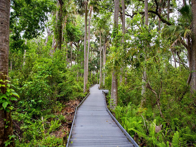 Nature's red carpet leads you through paradise without the paparazzi or velvet ropes.