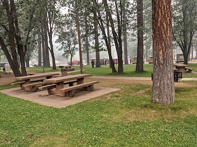 Pioneer Park's picnic tables wait patiently under towering pines, ready for your sandwich and that novel you've been meaning to finish for three summers.