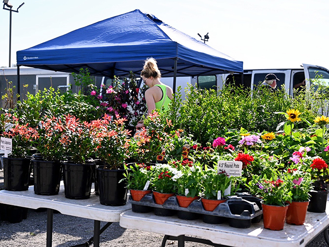 Garden dreams bloom in every direction. This floral wonderland offers everything from practical vegetable starts to showy ornamentals that would make any neighbor jealous.