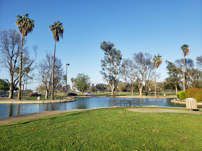 Plaza Park's serene lagoon and towering palms create a postcard-perfect spot for contemplation or feeding ducks with judgmental side-eyes.