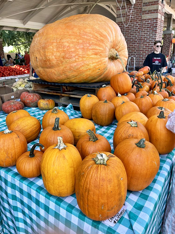 That moment when you realize pumpkins aren't just for Halloween&mdash;they're nature's way of saying autumn has officially arrived in Florida.