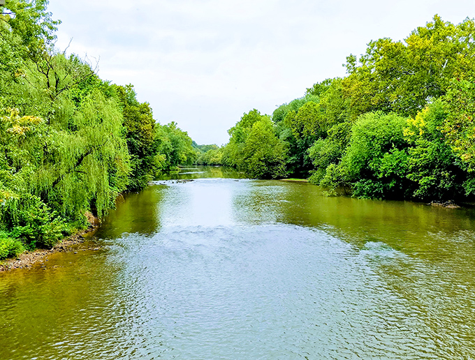 The peaceful Conestoga River flows beneath the bridge, its gentle current a constant companion to this historic landmark through changing seasons.