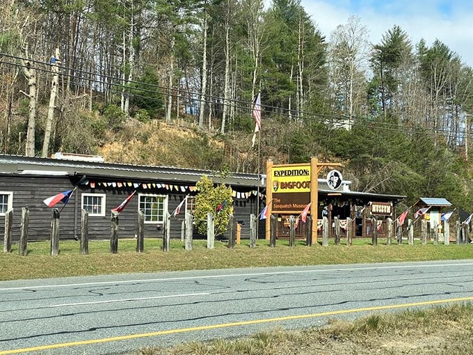 Nestled against the backdrop of Georgia's lush forests, the museum blends into the very habitat where its elusive subject might roam.