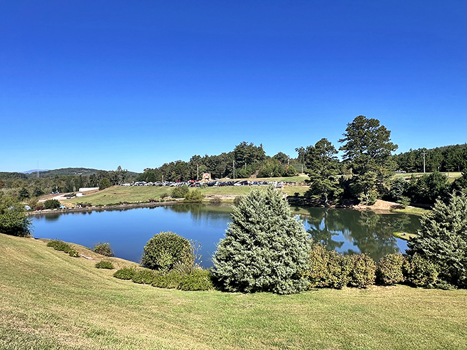 This serene lake reflects more than just clouds; it mirrors the peaceful spirit of an orchard where time slows and worries evaporate.