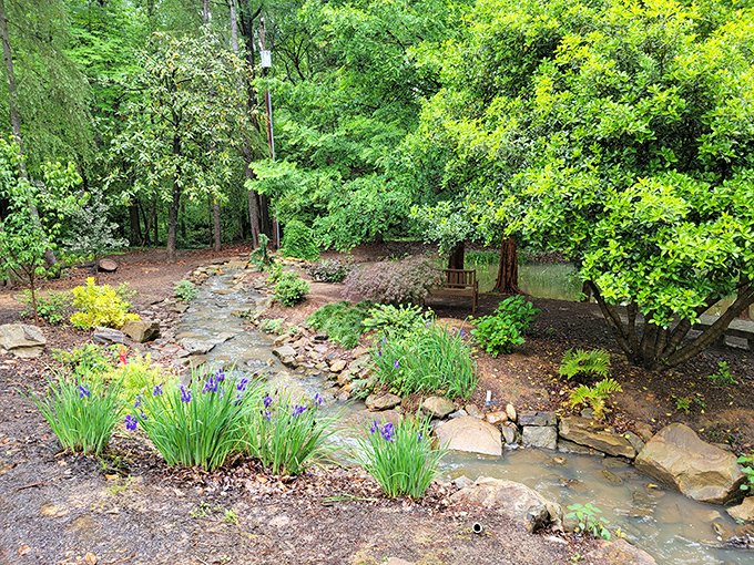 Mother Nature's living room, complete with flowing water feature and strategically placed greenery. No remote control needed for this kind of entertainment.