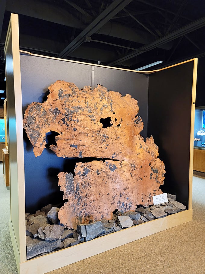 This massive sheet of native copper, Michigan's geological claim to fame, makes your smartphone's copper wiring look decidedly unambitious.