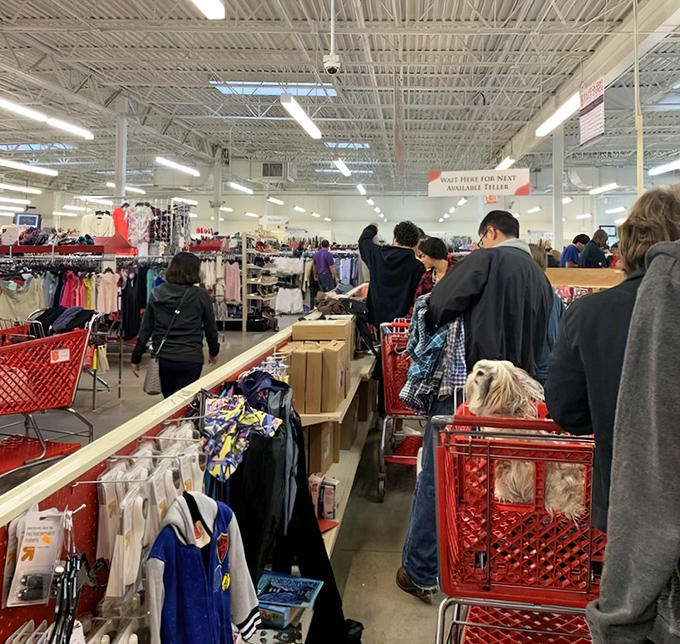 The true spirit of thrifting captured in one shot&mdash;shoppers intently focused on potential finds, red carts at the ready for unexpected treasures.