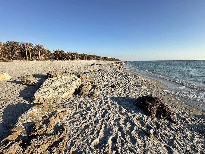 Untamed shoreline stretches as far as the eye can see, offering a rare glimpse of what Florida beaches looked like before high-rises claimed the view.