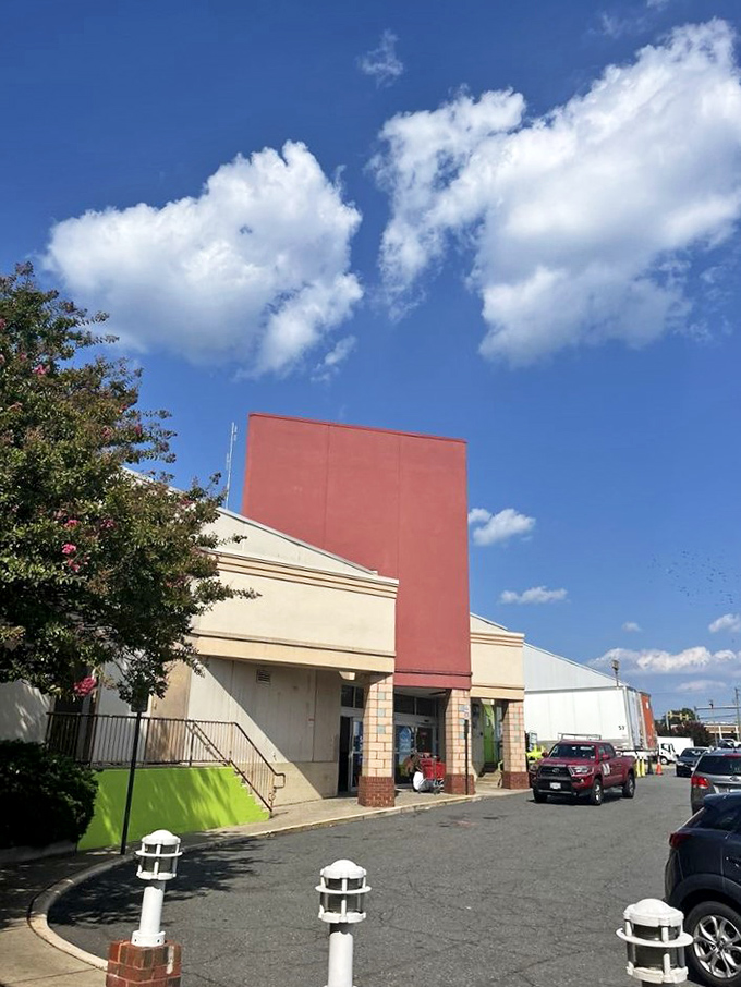 What looks like a former department store has found new purpose as a thrifter's paradise under clear Virginia skies.
