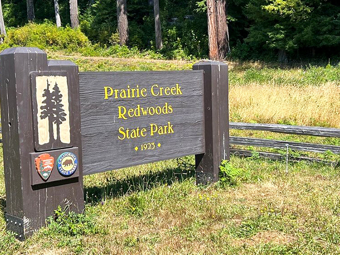 Established 1923, but the trees started their shift long before. They've been working overtime for centuries without a single complaint.