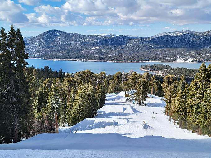 Snow Summit offers that rare California experience where "powder" refers to something you actually want to fall into.