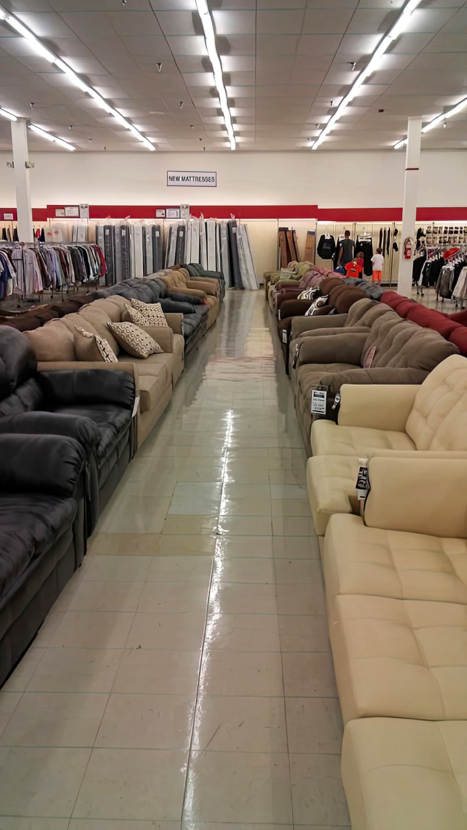 Sofa showdown! Two armies of comfy couches face off, silently competing for the honor of becoming your next Netflix binge headquarters.