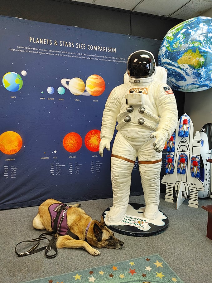Not your average department store mannequin! This spacesuit stands ready beside a planetary display, while even the service dog seems unimpressed by interstellar travel.