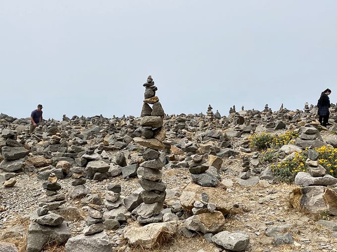A forest of stone cairns creates an otherworldly landscape. Visitors leave their mark without leaving a trace, a meditation in balance along the coastal trail.