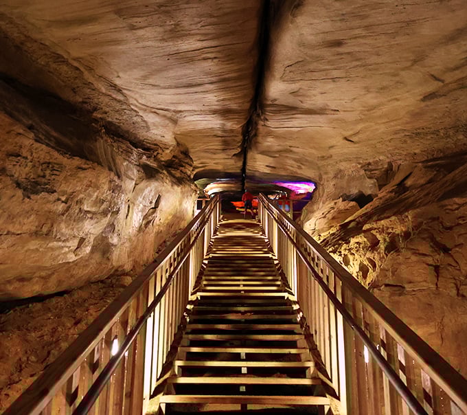 Stairway to&hellip; somewhere much cooler than heaven, at least temperature-wise. These steps lead to a subterranean world where time stands still. 