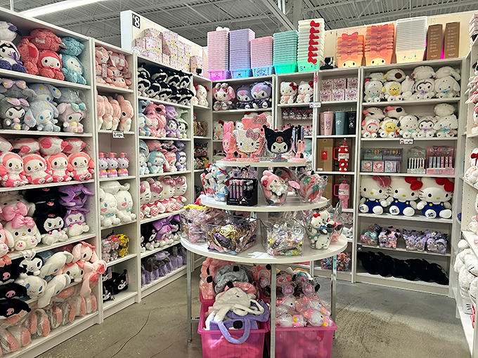 Plush paradise! A cotton candy explosion of kawaii culture where Hello Kitty and friends wait patiently for their forever homes.