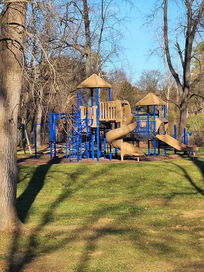 Modern playground equipment nestled among mature trees offers families perfect spots for relaxation and fun.