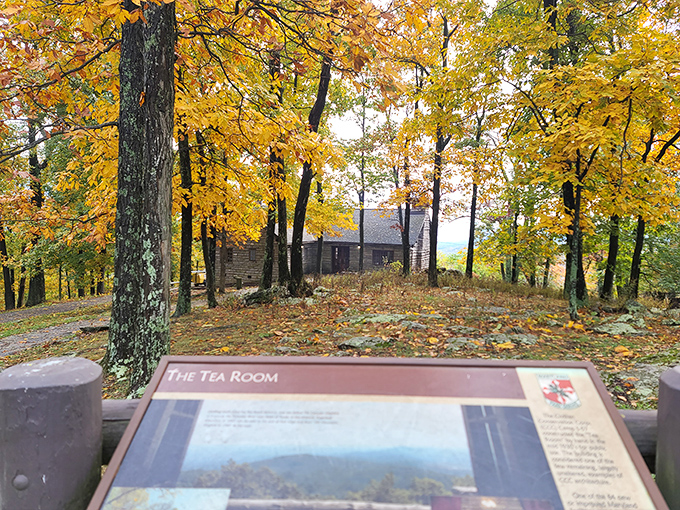 The Tea Room in autumn glory&mdash;where "tea room" means "spectacular stone lodge with panoramic views" in park ranger language.