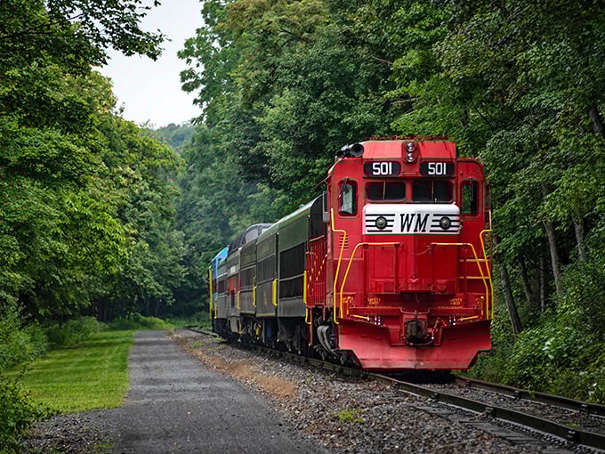 The crimson diesel locomotive cuts through a tunnel of green, like a modern-day dragon navigating its forest domain. Some mechanical beasts are worth chasing.