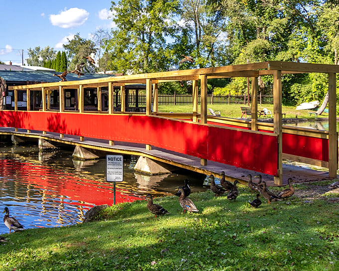The vibrant red footbridge at Trout Pond Park provides both passage and pause, with ducks serving as the welcoming committee.