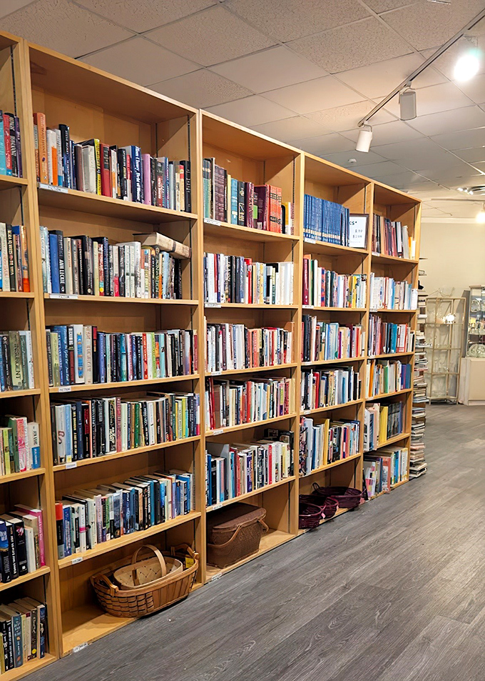 Bibliophile heaven awaits between these shelves. Each book represents someone else's finished adventure, ready for your next chapter.