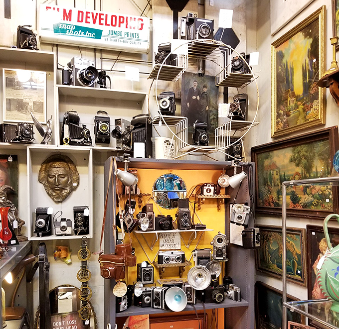 A wall of mechanical eyes that have witnessed decades of history. Each vintage camera holds stories we can only imagine.