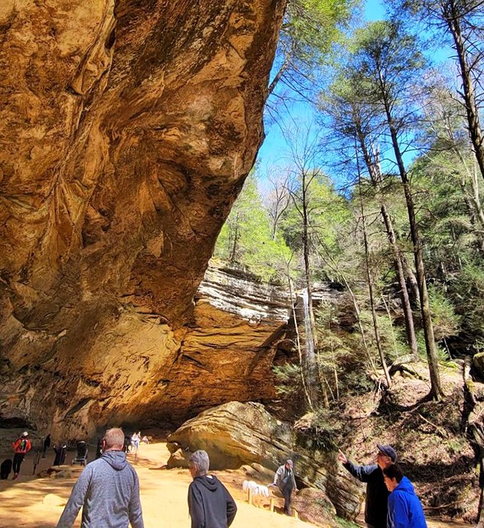 The massive overhang at Ash Cave makes visitors look like ants at a picnic. Mother Nature showing off her architectural skills again.