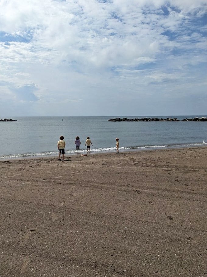 Little explorers test the waters of Lake Erie, proving that childhood wonder needs no ocean&mdash;just sand, water, and endless possibilities.