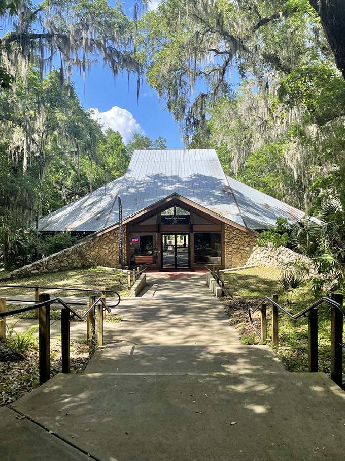 The visitor center sits nestled under ancient oaks like a cozy cabin from your childhood dreams.