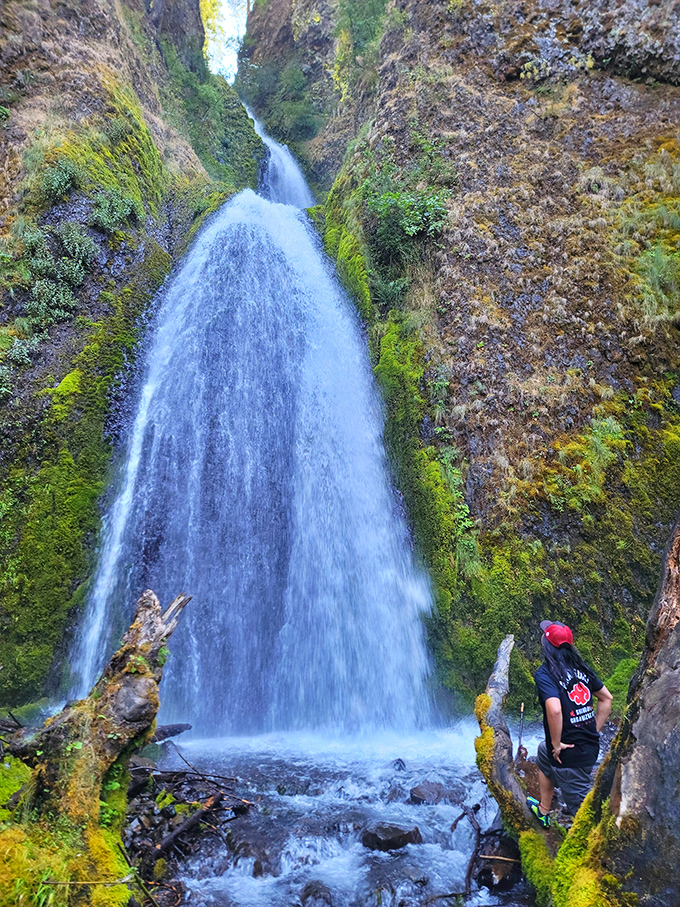 Water plunges dramatically between moss-covered cliffs, creating a natural amphitheater where the only soundtrack is the thunderous applause of the falls.