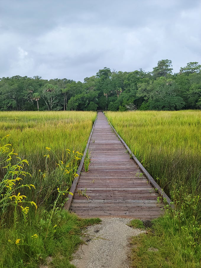 Wooden boardwalks through golden marshgrass&mdash;where every step forward is also a step back in time to before emails and deadlines existed. 