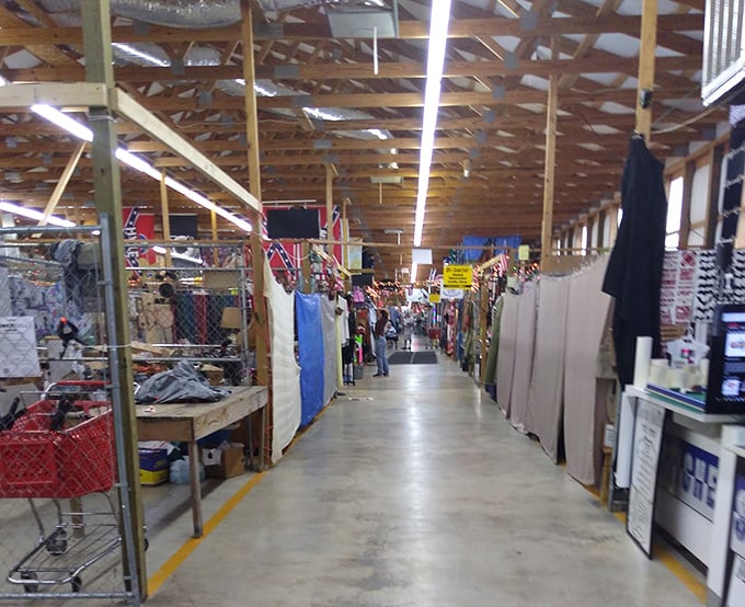 These endless aisles stretch like highways through decades of American history, each turn revealing new surprises.