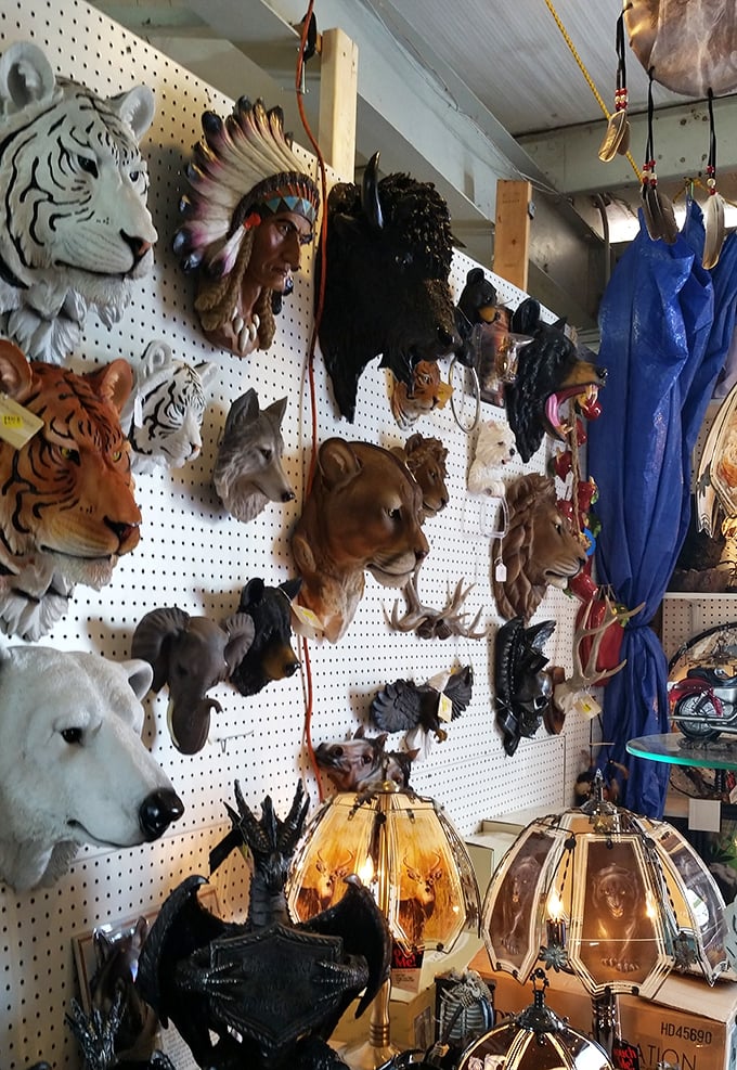 This menagerie of animal heads watches over shoppers like friendly guardians of great deals and nostalgia.