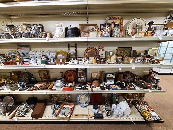 Every shelf tells a story here. This collection of vintage dishware and decorative items waits patiently for someone to give them a second life.