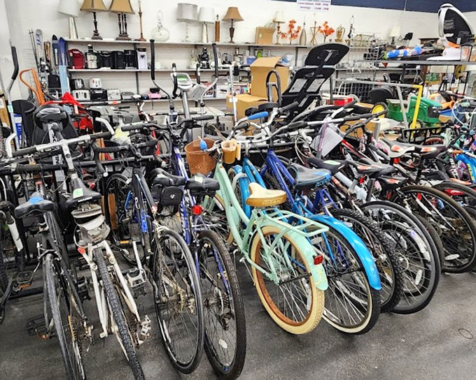A fleet of bicycles stands ready for adoption&mdash;from vintage cruisers to modern mountain bikes, all waiting for their second wind.