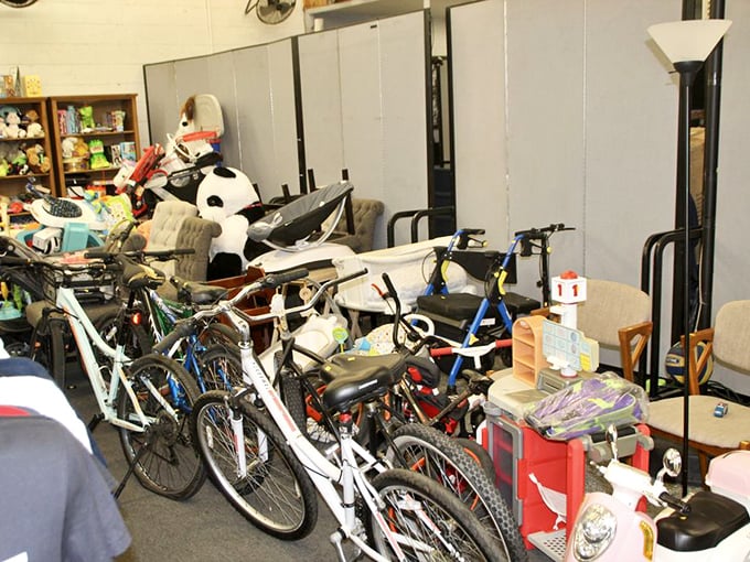 Bicycle heaven for budget-conscious riders! This two-wheeled collection proves one person's garage clutter becomes another's perfect weekend cruiser.