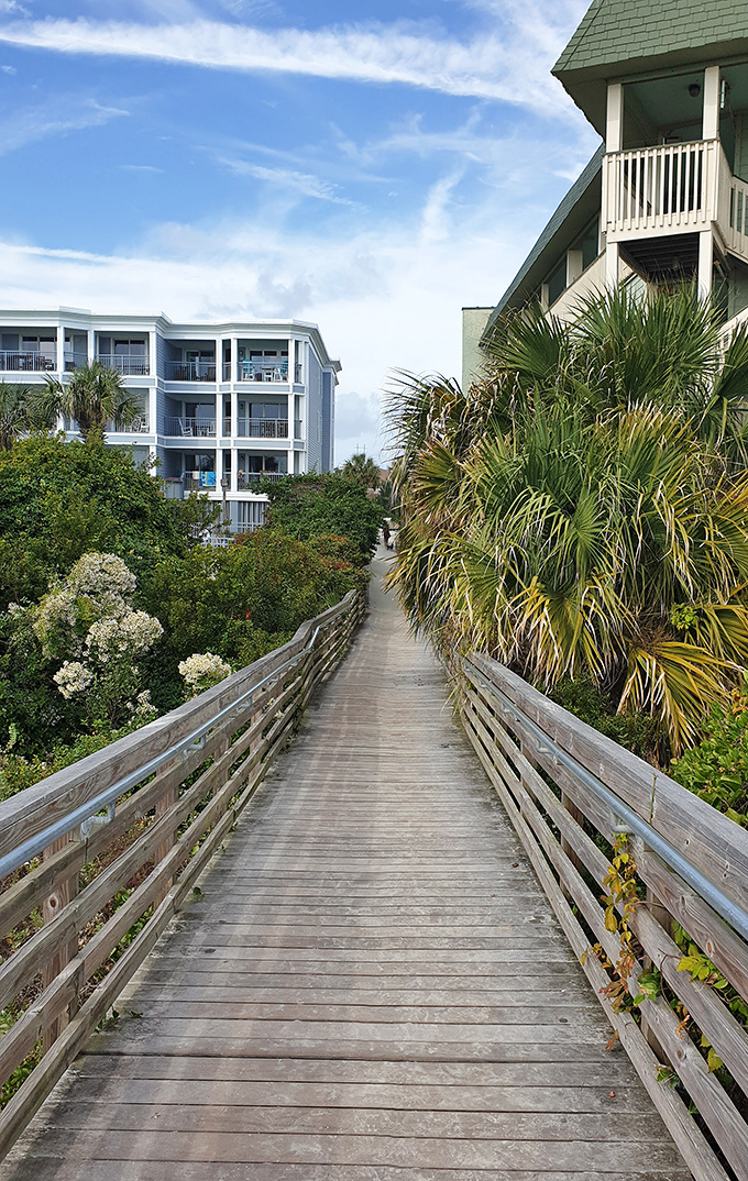 The journey is half the adventure on this winding boardwalk, where coastal vegetation creates a natural tunnel toward beach bliss.