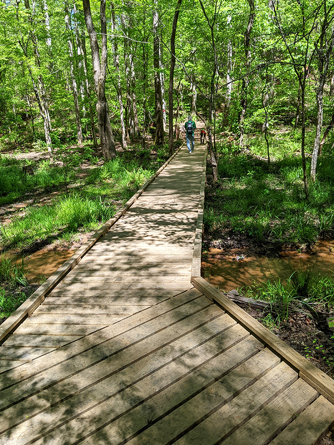 This boardwalk through the wetlands proves that sometimes the best path in life is literally laid out for you&mdash;just follow the wooden planks to tranquility.